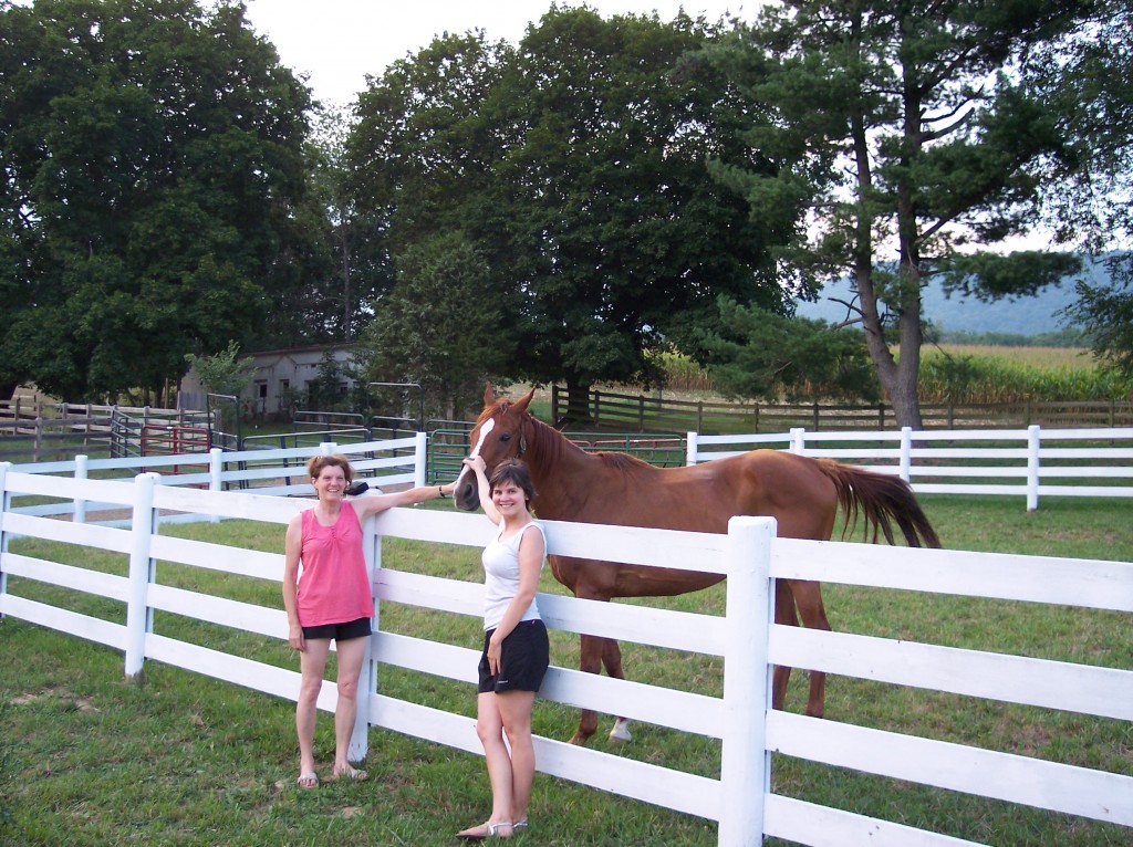 Farm Experience - Rosendale